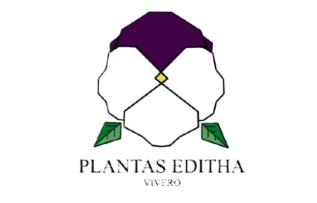 Plantas Editha